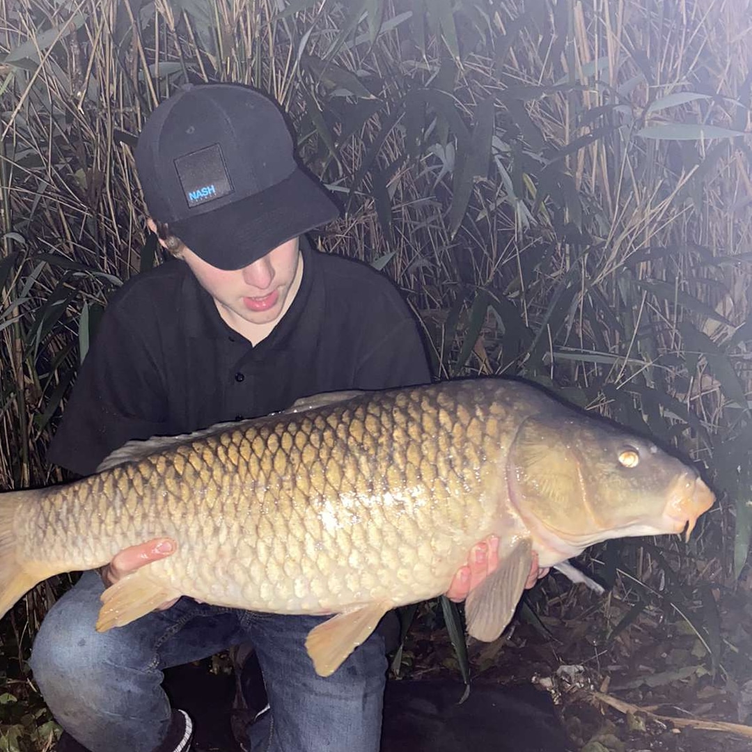 Park lake fish | Total Carp